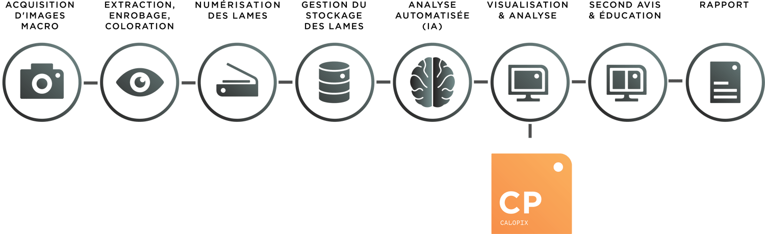 CaloPix : Logiciel d'aide au diagnostic médical | Tribun Health