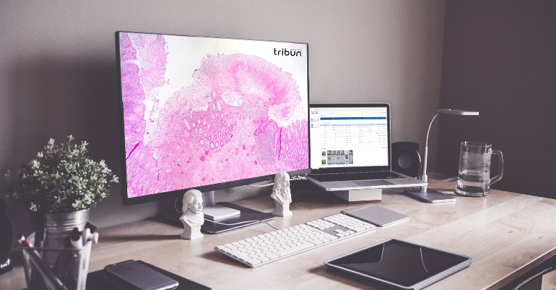 CaloPix: Next-gen AI-Powered Computational Pathology Solution